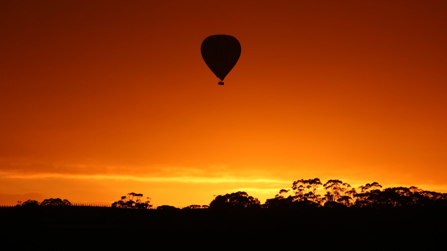 Home - Balloon Adventures Barossa